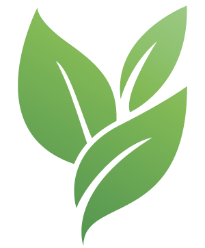 What are PDO Threads? | V Soft Lift